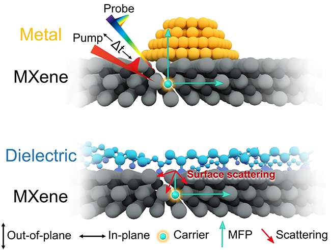 研究揭示MXene电子—声子表面散射效应-重庆大学科学技术发展研究院